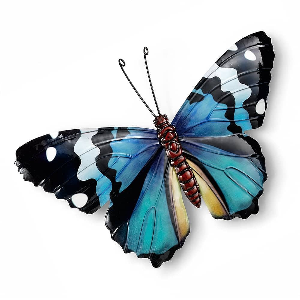 Bordure De Papillon Bleu Papillon Bleu Pour La Pratique Des Grandes